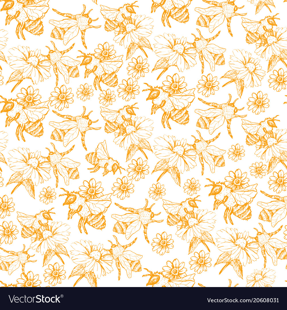 Honey bee seamless pattern sketch Royalty Free Vector Image Honey bee seamless pattern sketch Royalty Free Vector Image