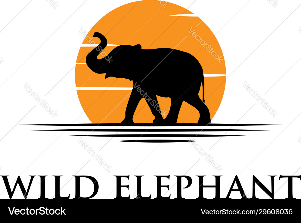 Black elephant silhouette logo with sunset Vector Image
