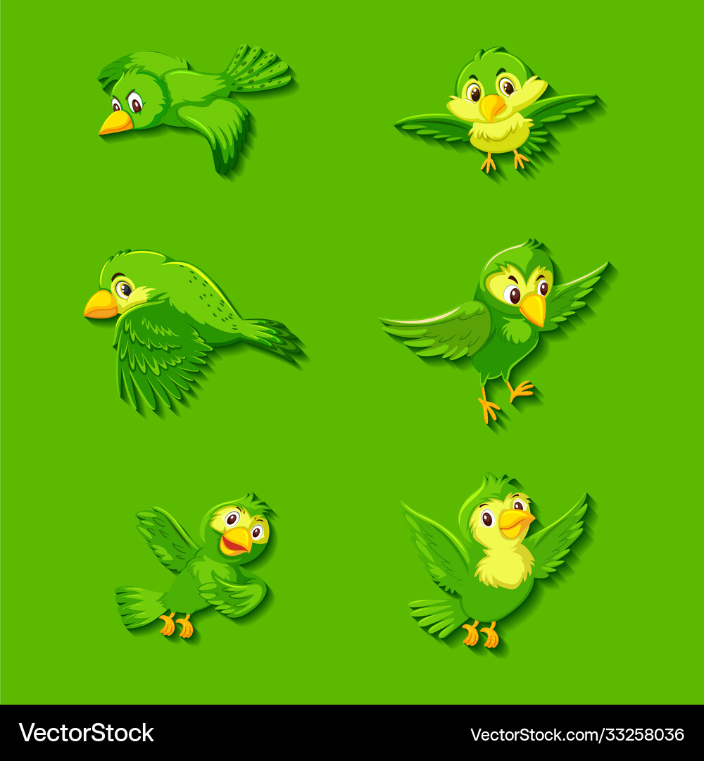Cute green bird cartoon character Royalty Free Vector Image