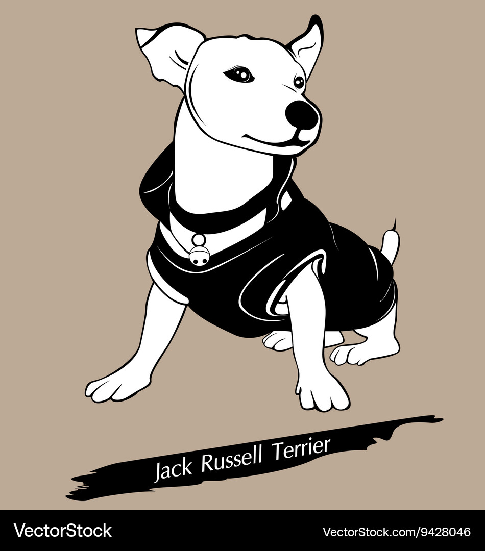 Frisky dog is sitting on the floor Royalty Free Vector Image
