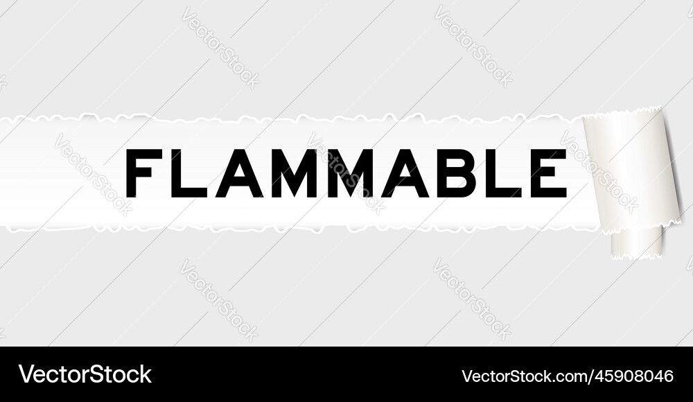 Ripped gray paper background that have word Vector Image