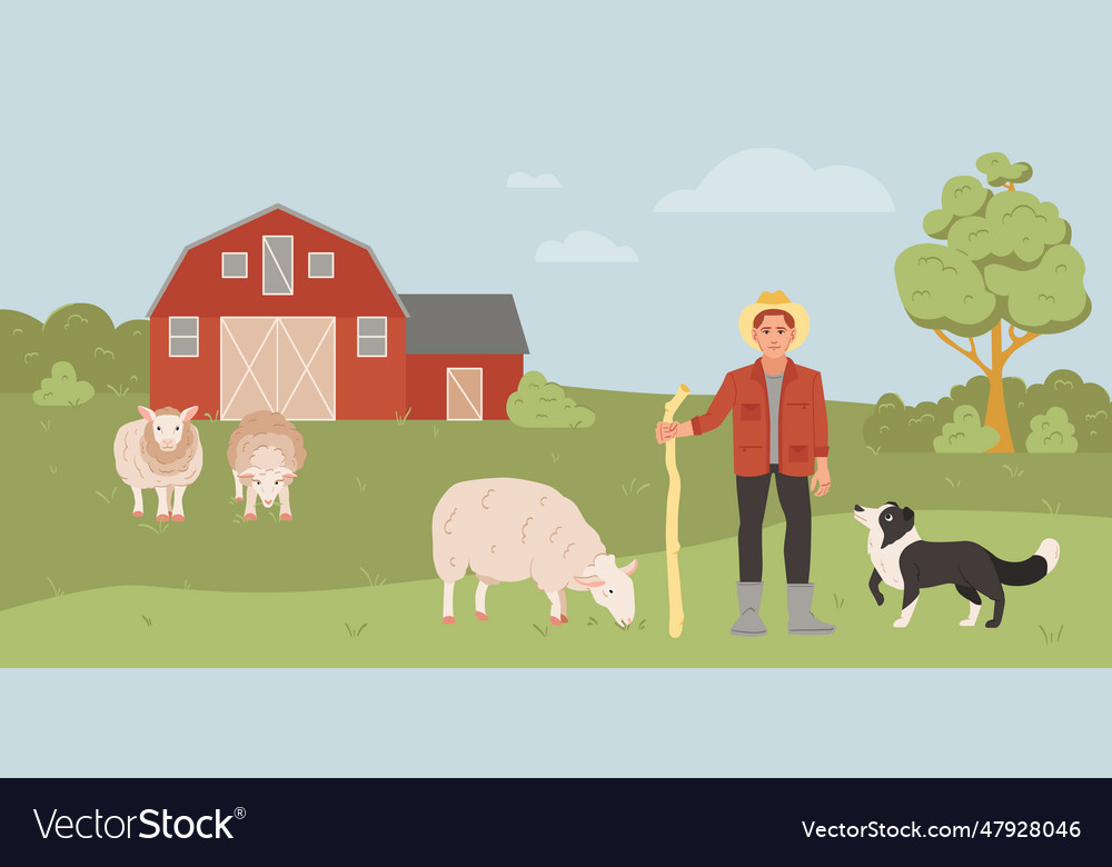 Sheep farm Royalty Free Vector Image - VectorStock
