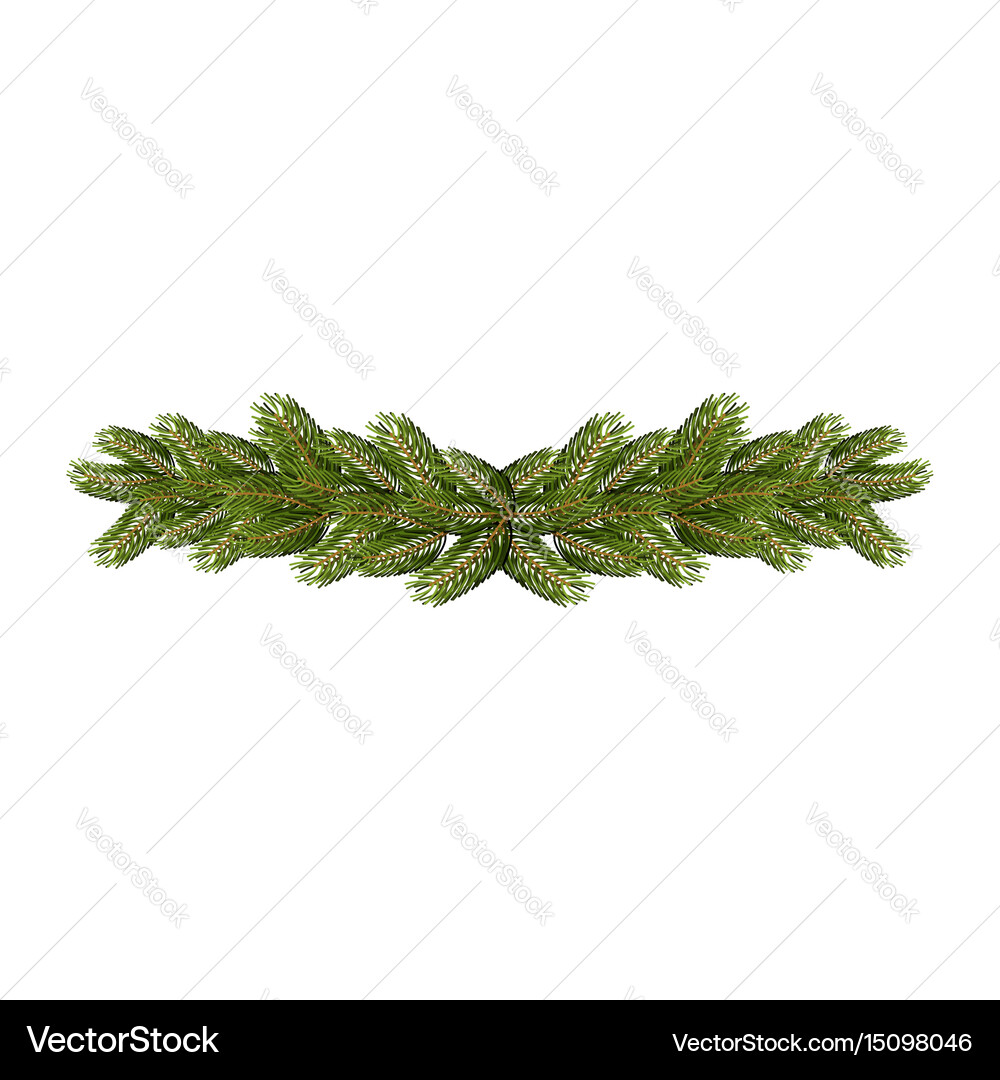 Spruce branches isolated christmas and new year Vector Image