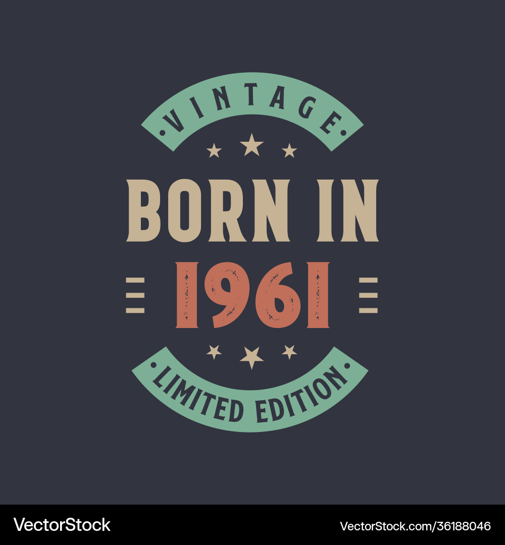 Vintage born in 1961 retro Royalty Free Vector Image