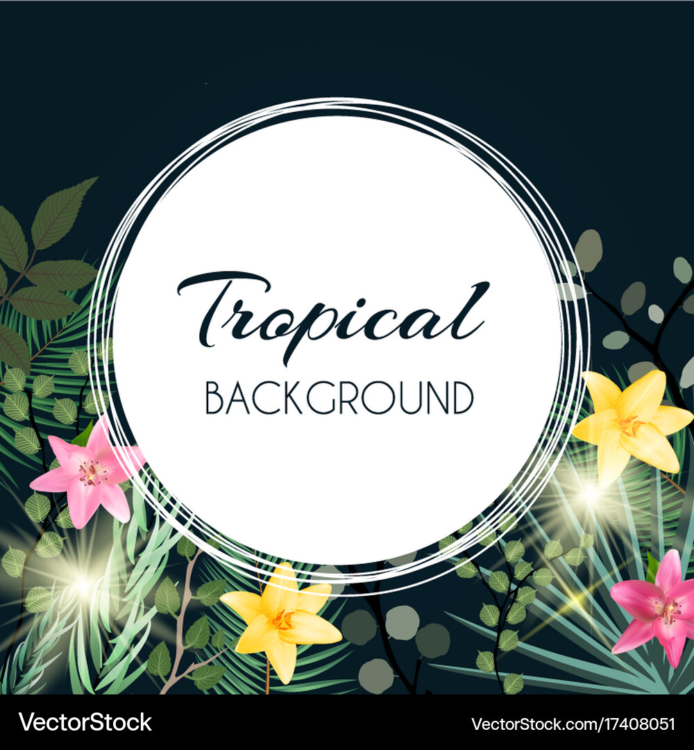 Abstract natural tropical frame background Vector Image