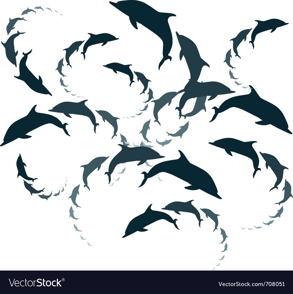 Dolphins background Royalty Free Vector Image - VectorStock