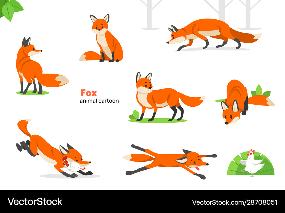 Fox animal cartoon set cute foxes Royalty Free Vector Image