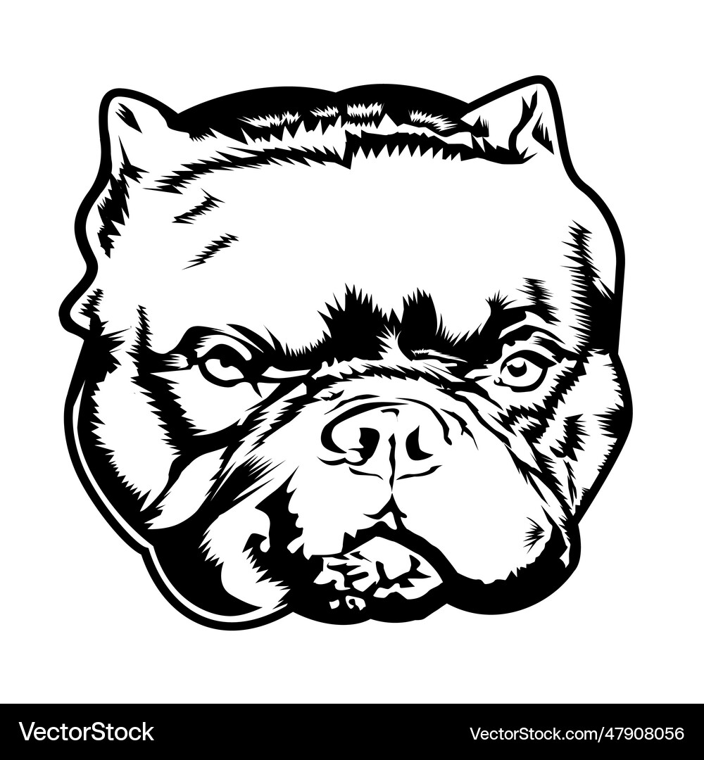 Bulldog annimal head backgroun Royalty Free Vector Image
