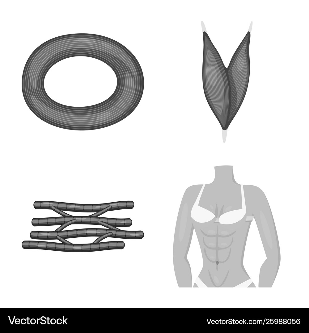 Design human and body icon collection Royalty Free Vector
