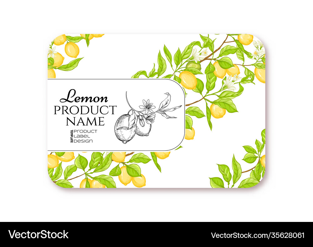 Lemon ripe citrus template for product label Vector Image