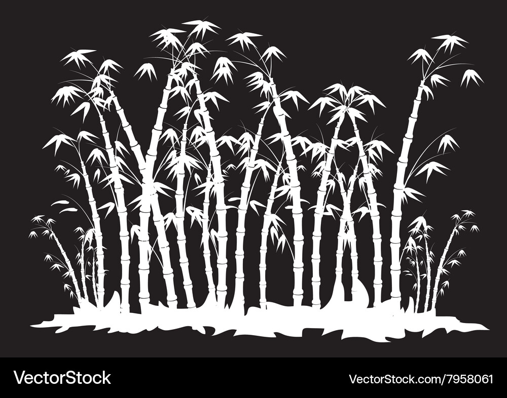Silhouettes of bamboo forest Royalty Free Vector Image