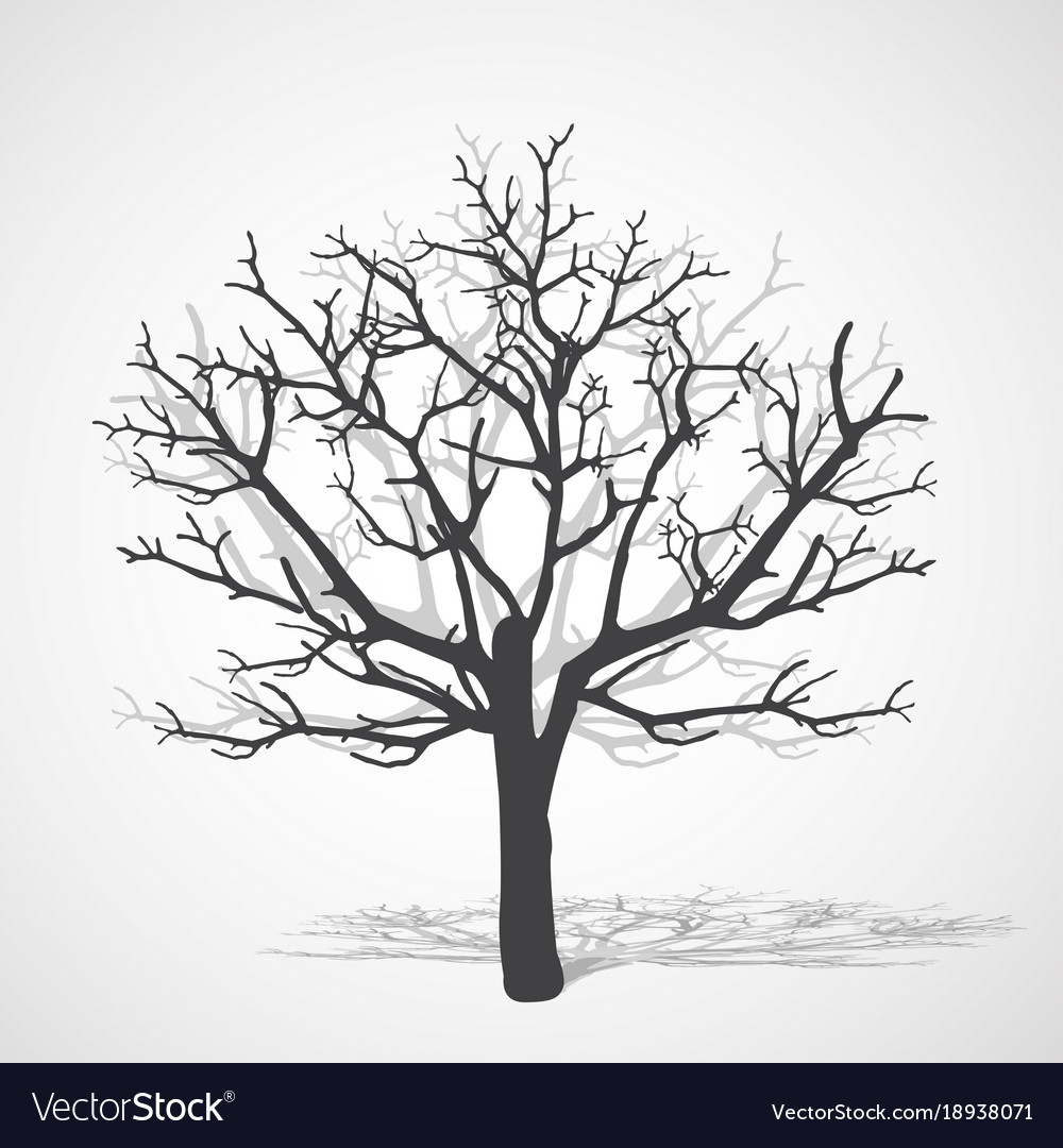 Abstract tree background Royalty Free Vector Image