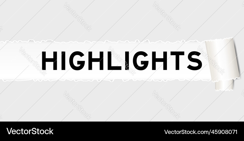 Ripped gray paper background that have word Vector Image