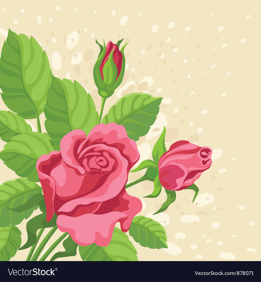 Roses background Royalty Free Vector Image - VectorStock
