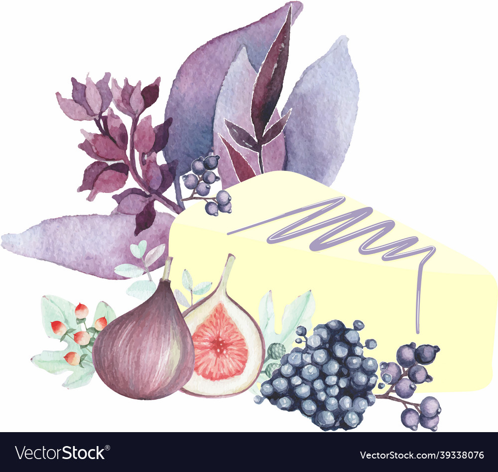 Fig cake Royalty Free Vector Image - VectorStock