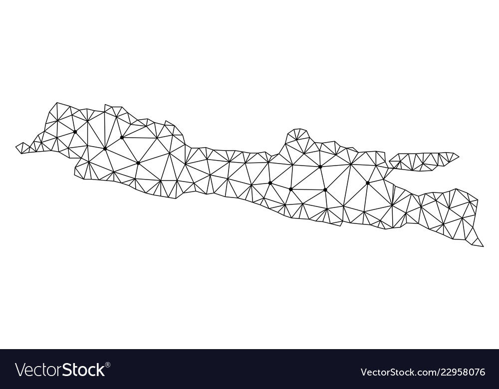 Polygonal carcass mesh map java island Royalty Free Vector
