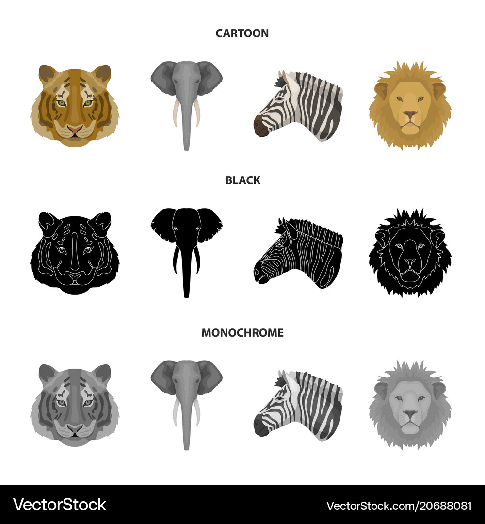 Tiger lion elephant zebra realistic animals Vector Image