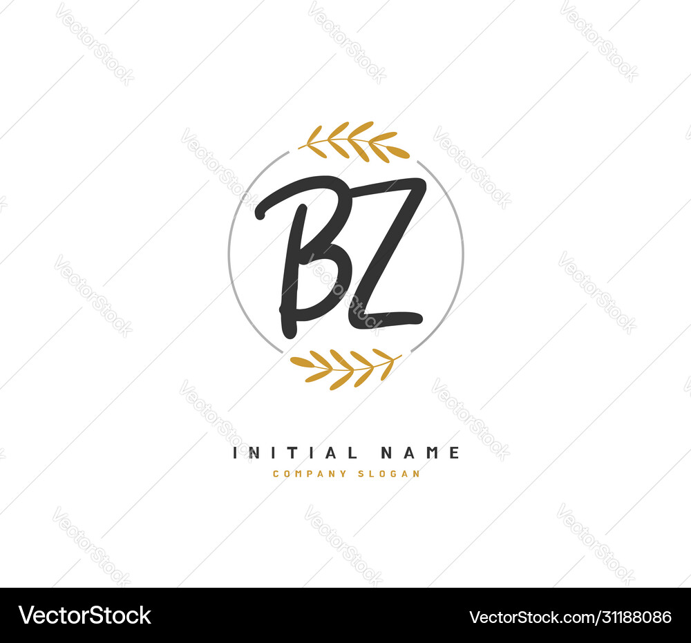 B z bz beauty initial logo handwriting logo Vector Image