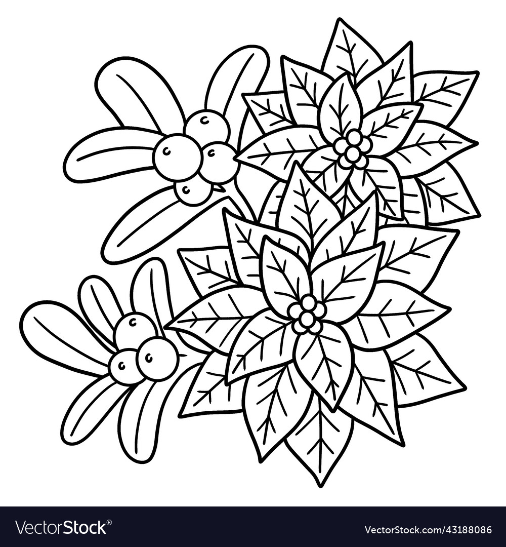 Christmas poinsettia isolated coloring page Vector Image
