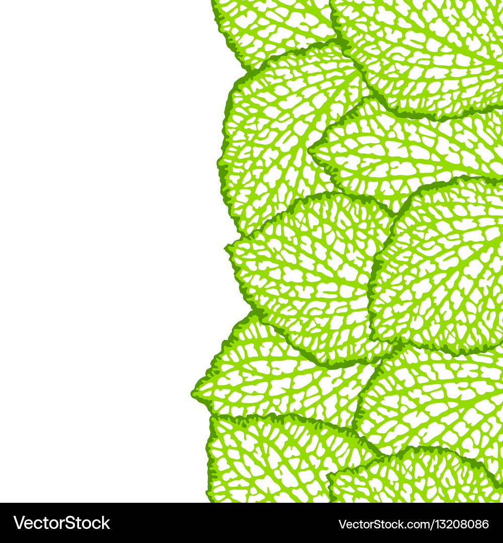 Seamless border with decorative leaves natural Vector Image