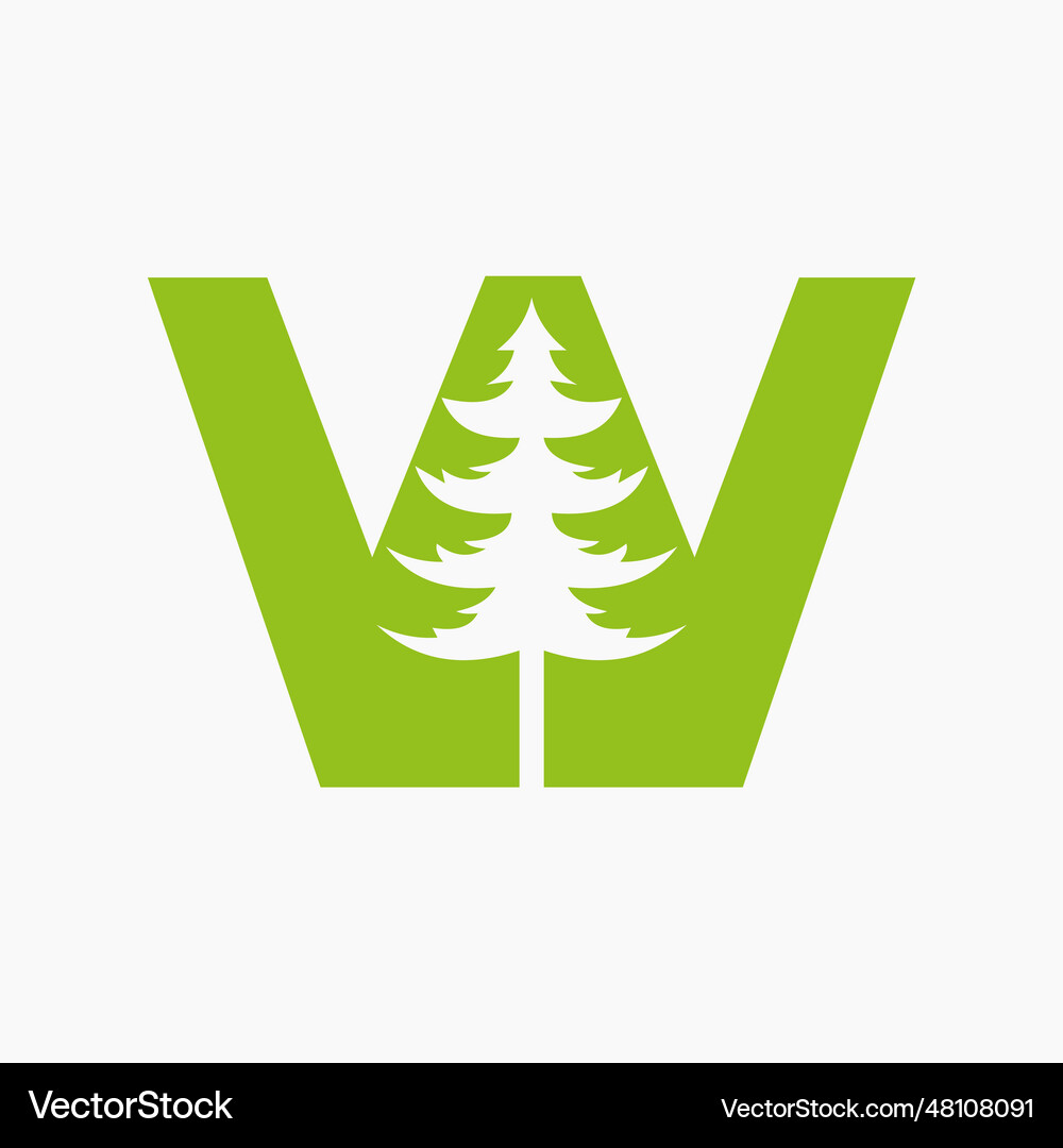 Letter w christmas tree logo design spruce logo Vector Image