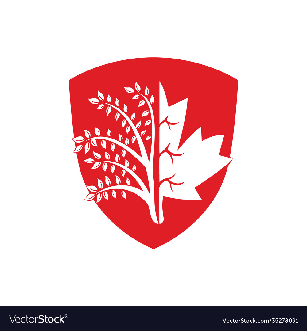 Maple leaf and tree design template Royalty Free Vector