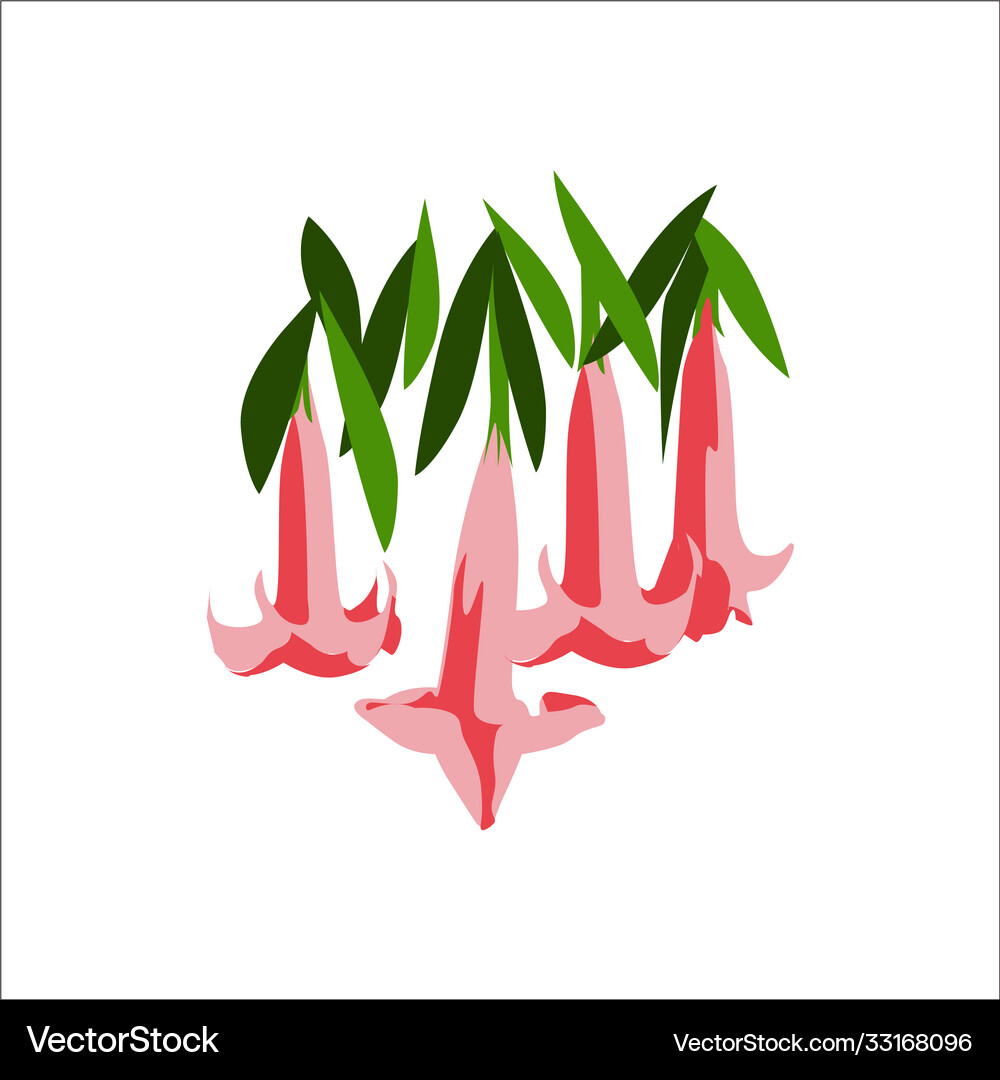 Angel trumpet exotic flower Royalty Free Vector Image