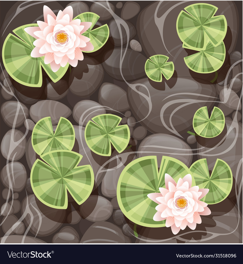 Beautiful lily lotus with green leaves Royalty Free Vector