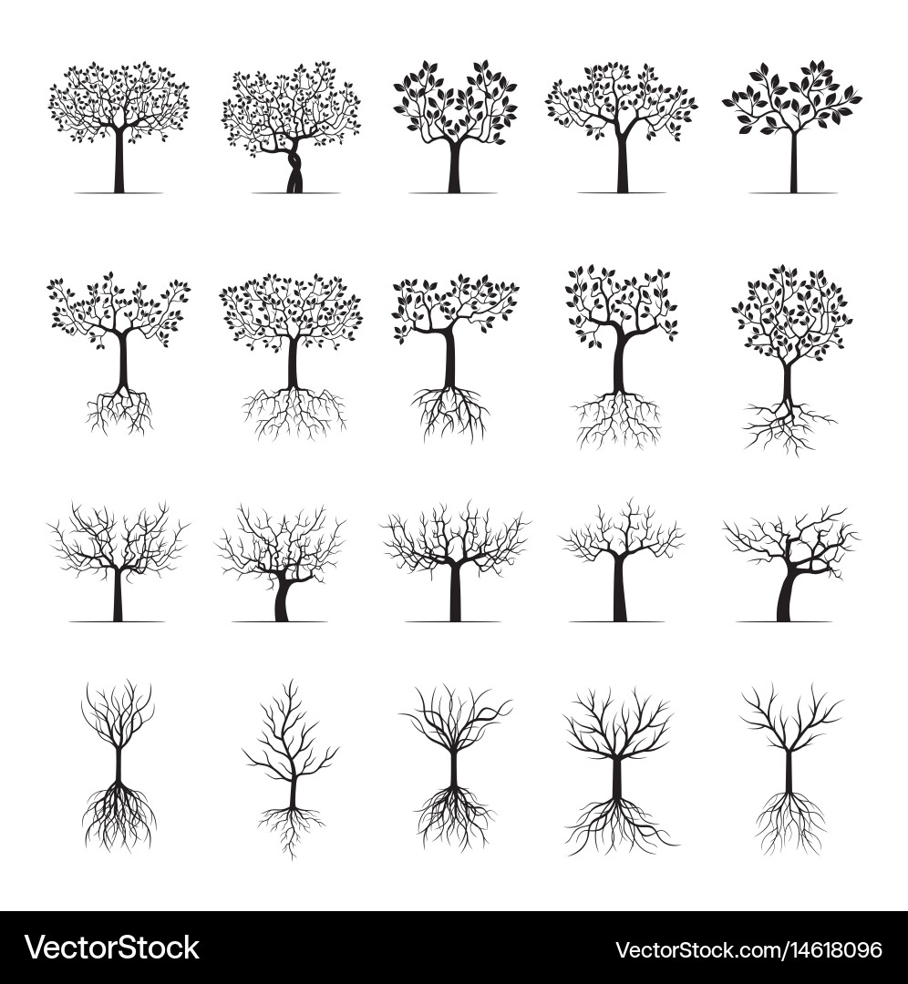 Collection of black trees and roots Royalty Free Vector