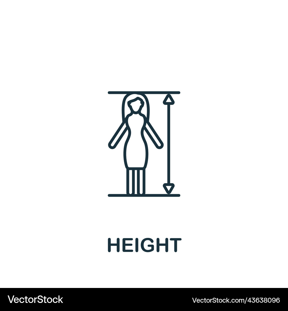 Height icon line simple health check icon Vector Image