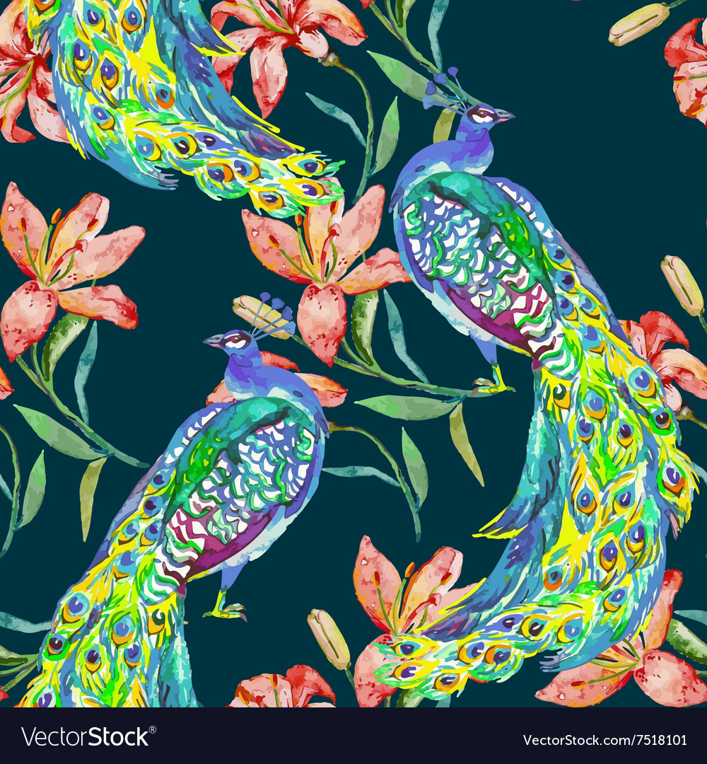 Beautiful Peacock Pattern Peacocks And Royalty Free Vector