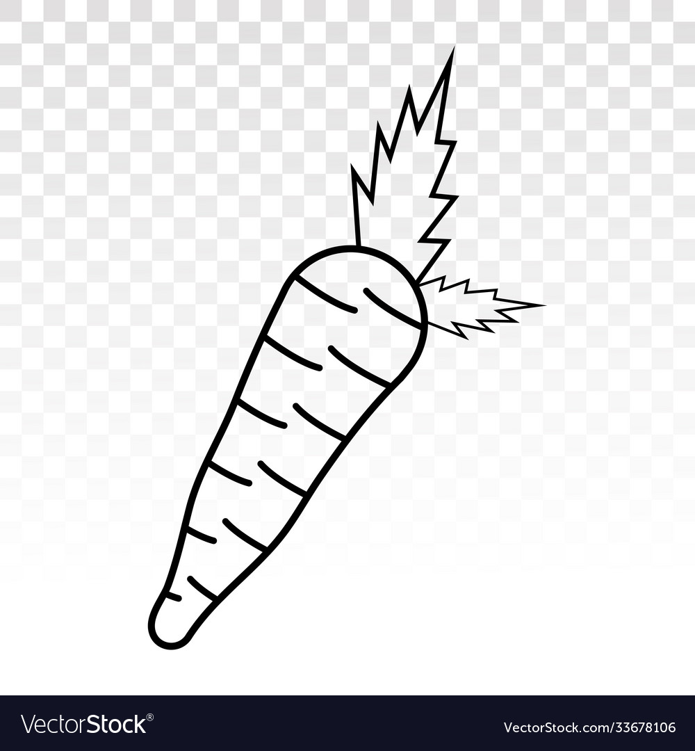 Carrot vegetables line art icon for apps or Vector Image