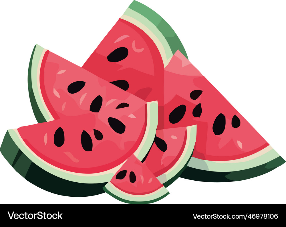 Juicy watermelon slice sweet fresh Royalty Free Vector Image