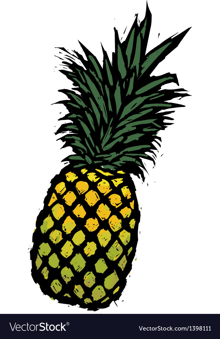 A pineapple Royalty Free Vector Image - VectorStock