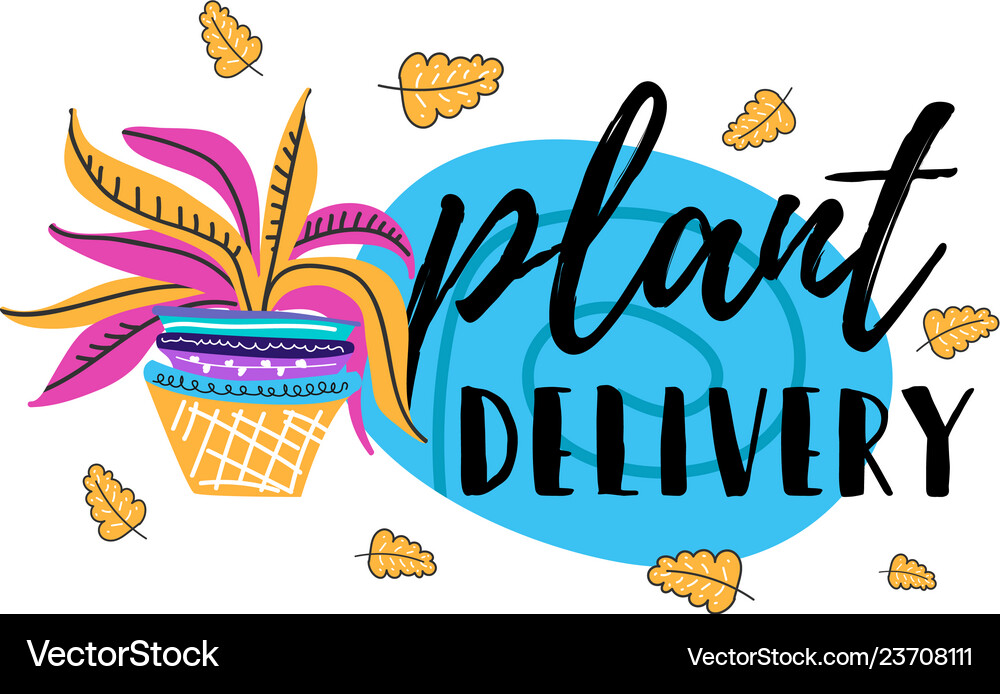 Plant in pot concept - flower delivery Royalty Free Vector
