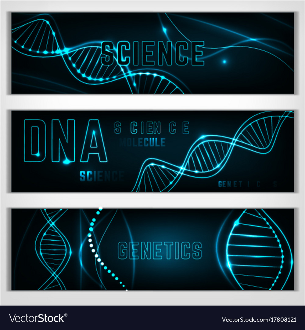 Dna molecule image Royalty Free Vector Image - VectorStock