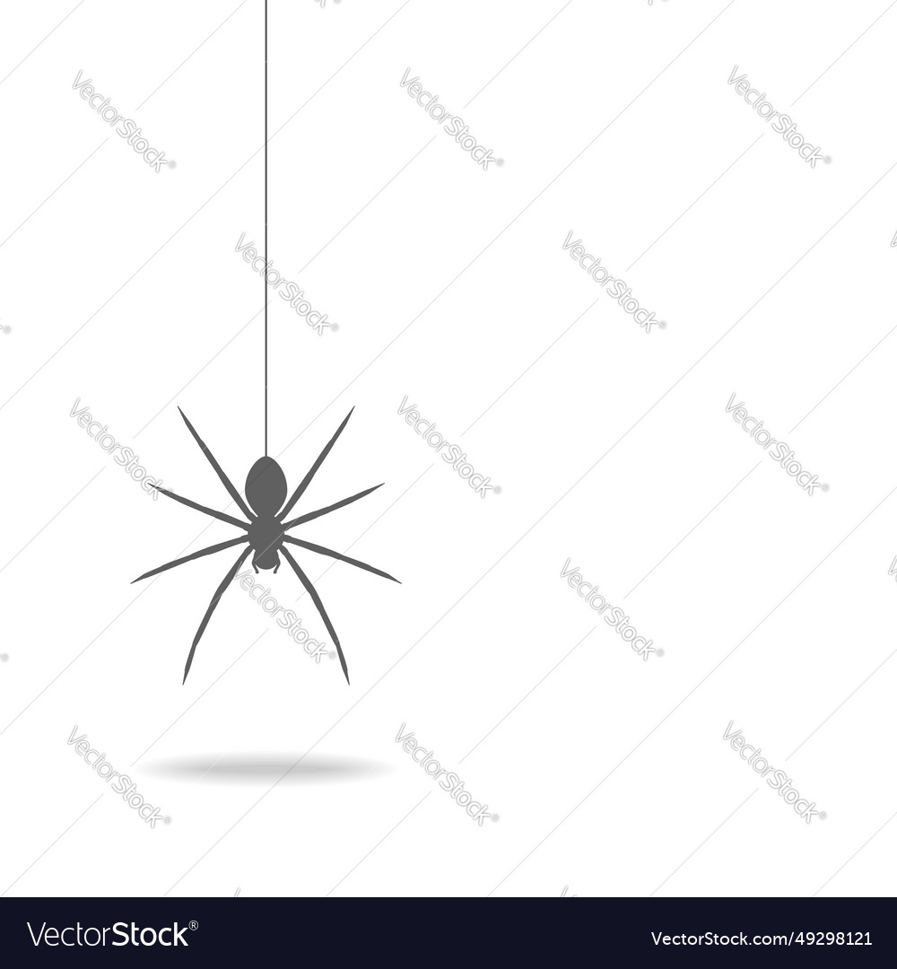 Spider Royalty Free Vector Image - VectorStock