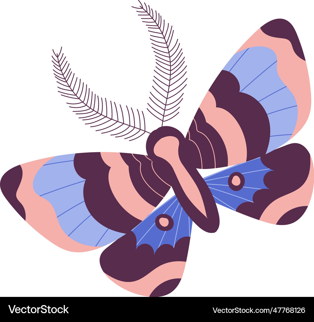 Butterfly fluttering with open wings closeup Vector Image