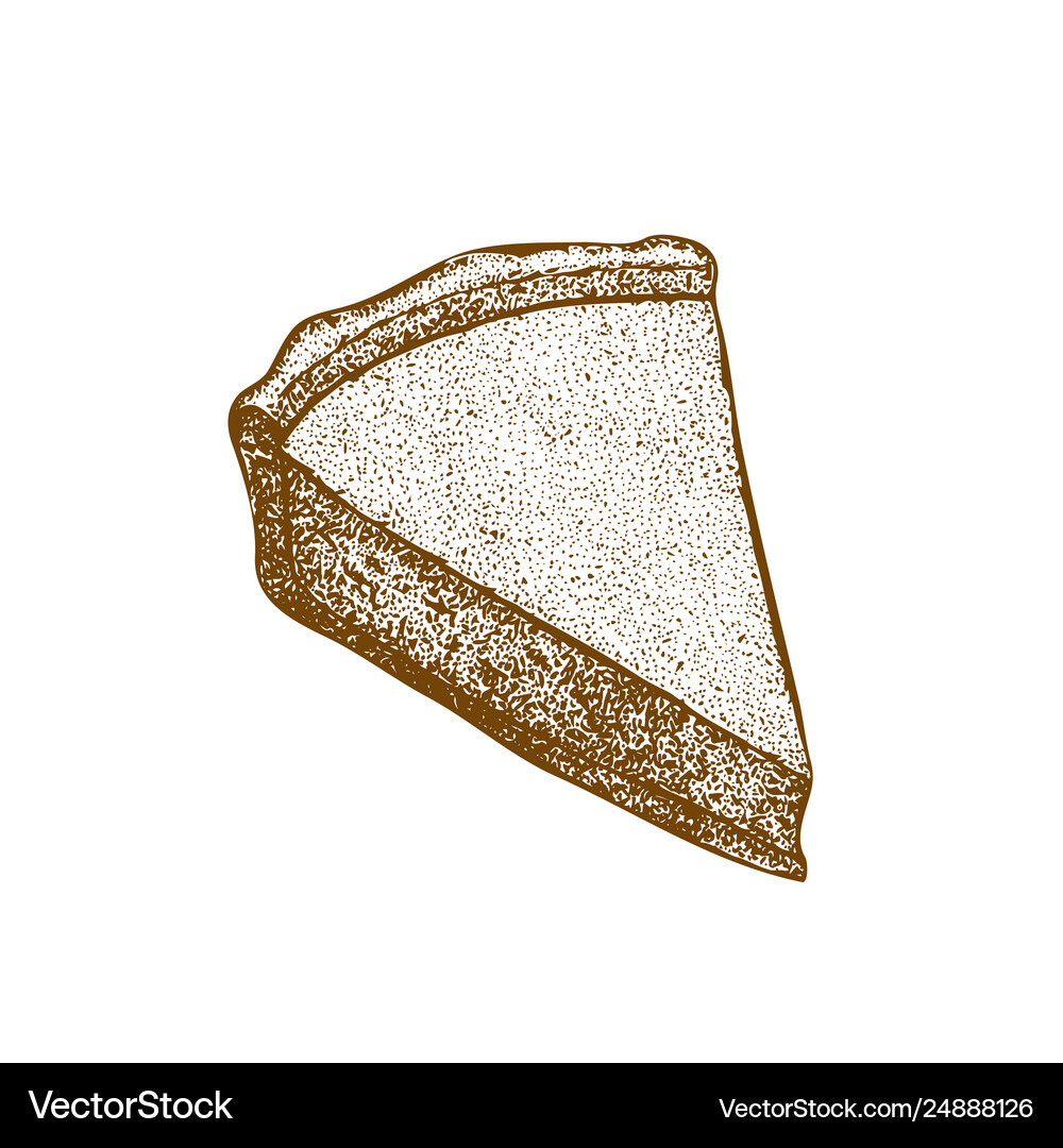 Cheesecake on white background in hand-drawn style