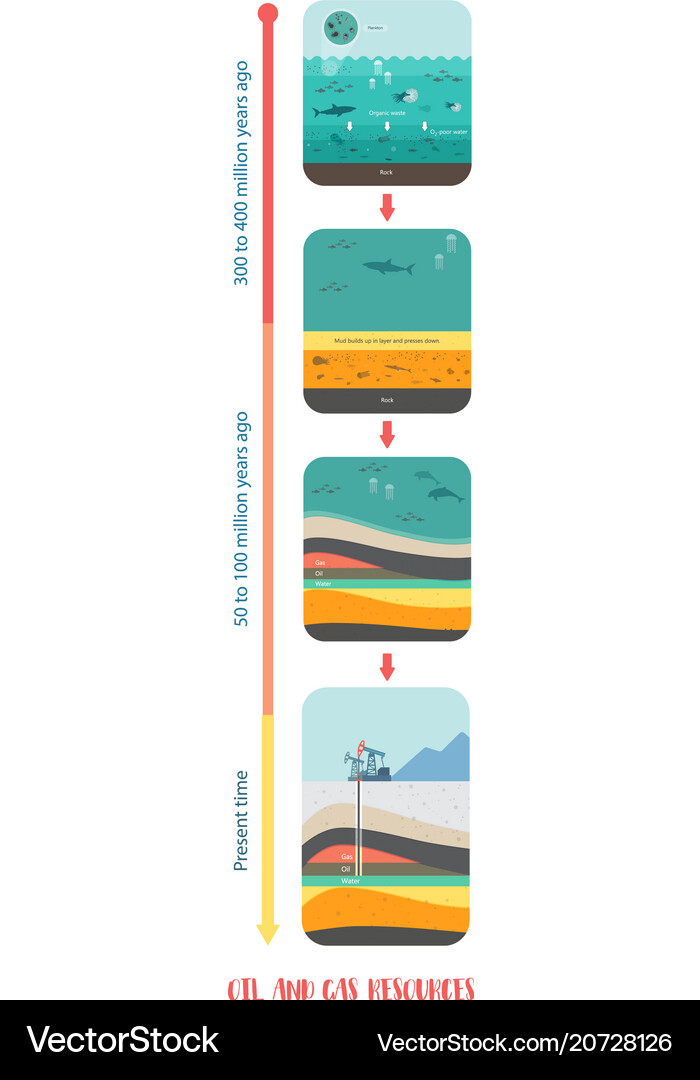 How to petroleum fossil fuel was form Royalty Free Vector