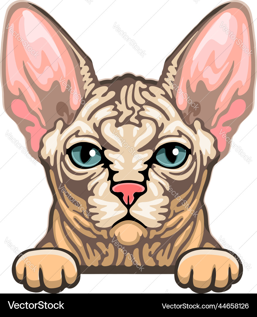 Sphynx cat color peeking cats breed Royalty Free Vector