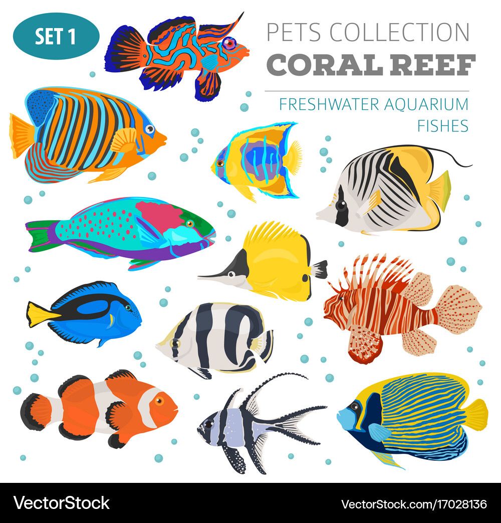 Colorful Freshwater Fish Icon Set Royalty Free Vector Image