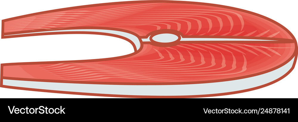 Delicious fresh salmon fillet Royalty Free Vector Image