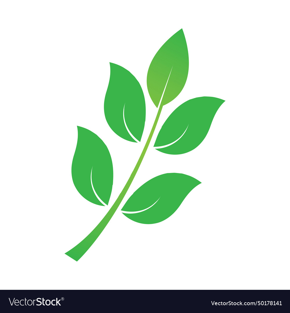 Leaf icon Royalty Free Vector Image - VectorStock
