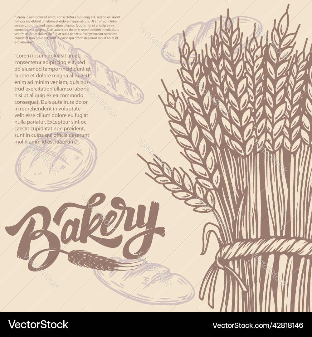 Bakery card with sheaf of wheat design element Vector Image