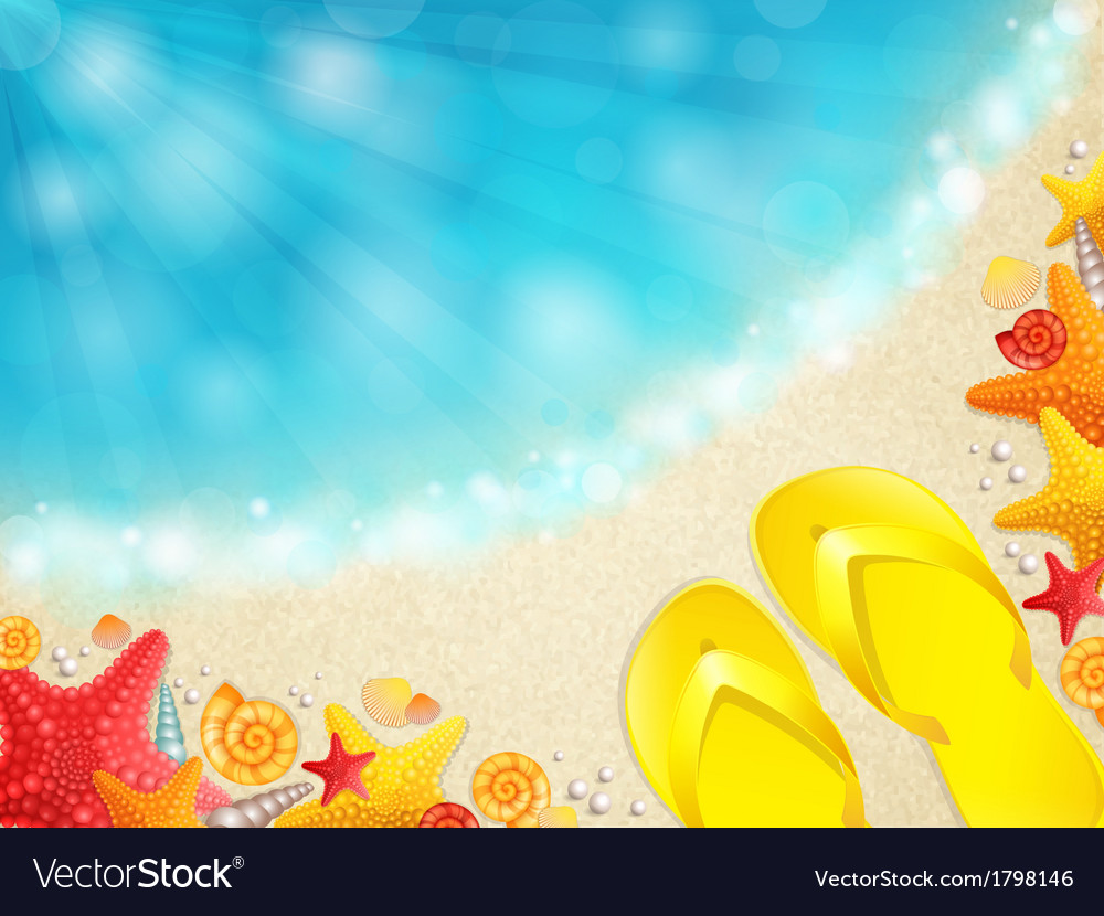 Beach with shells Royalty Free Vector Image - VectorStock
