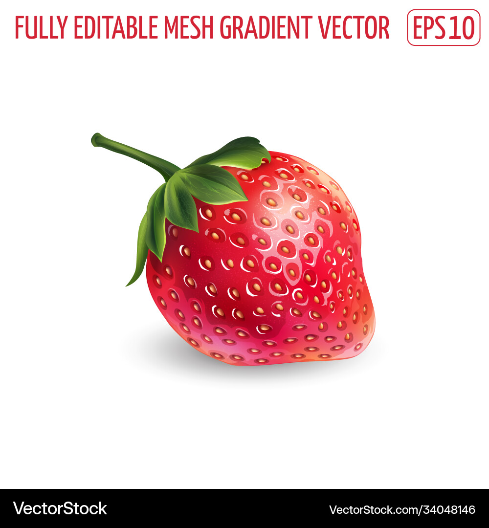 Fresh ripe strawberry on a white background Vector Image