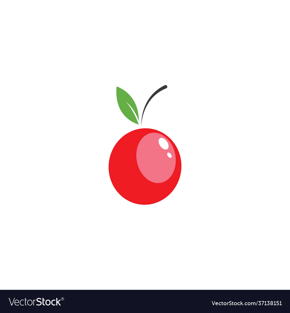 Red cherry Royalty Free Vector Image - VectorStock