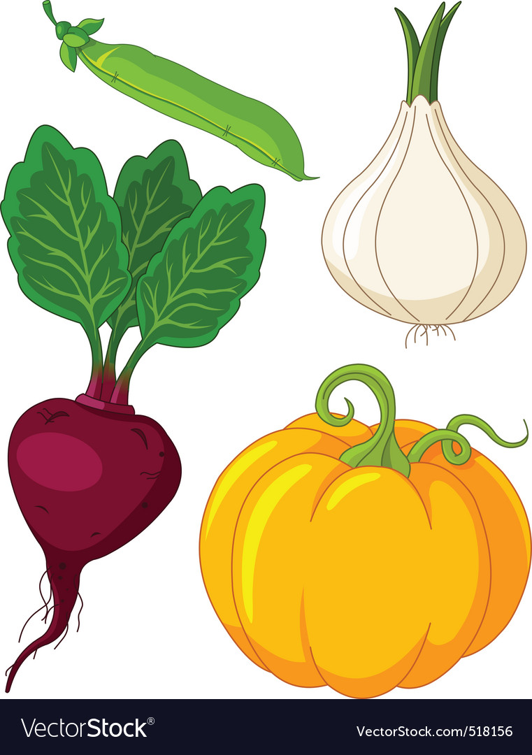 Vegetables Royalty Free Vector Image - VectorStock