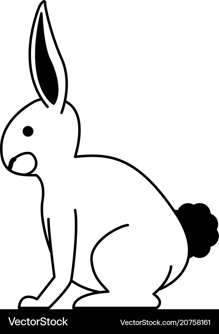 Rabbit wild animal on black and white Royalty Free Vector